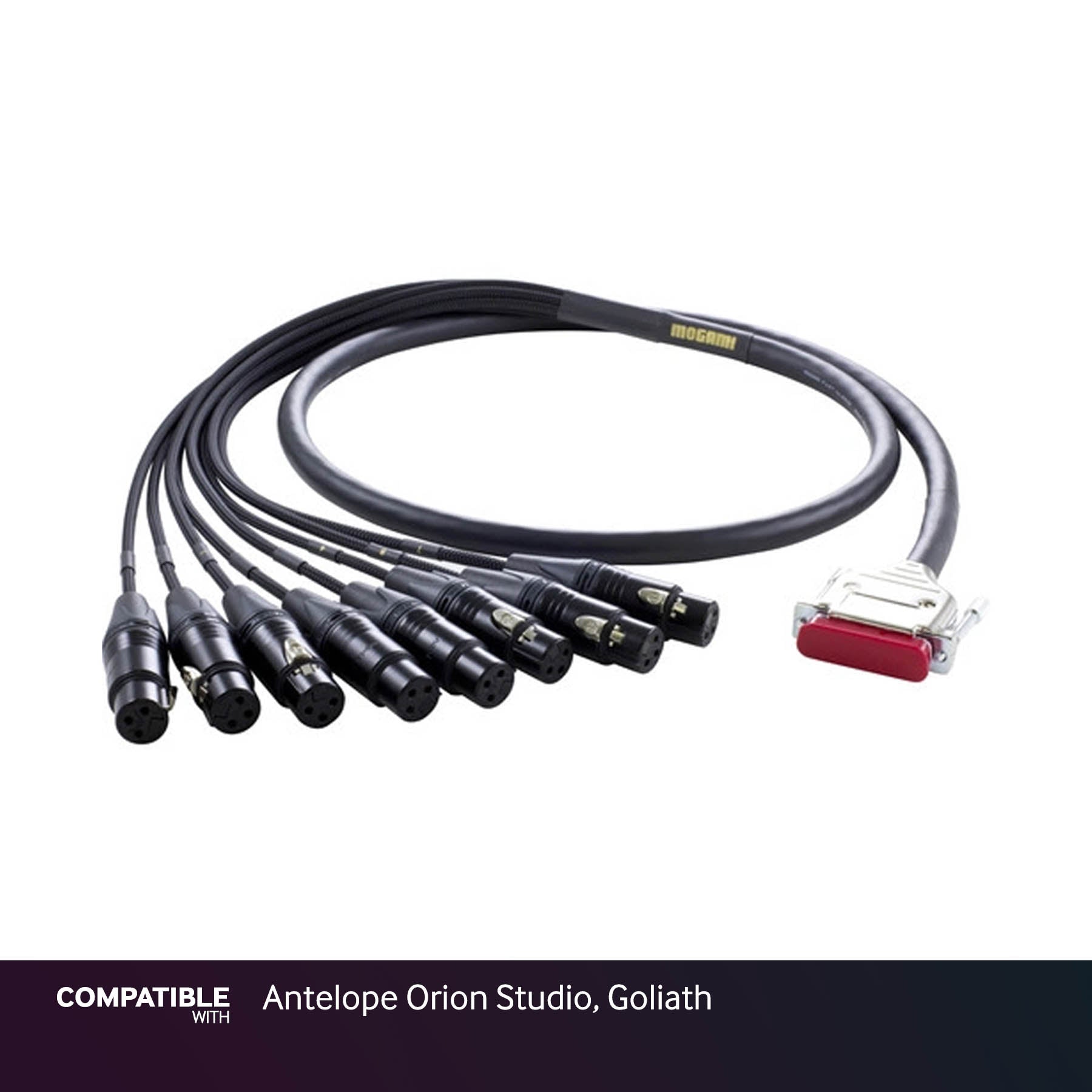 Mogami Gold 3-foot DB25 to XLRF Snake for Antelope Orion Studio, Golia ...